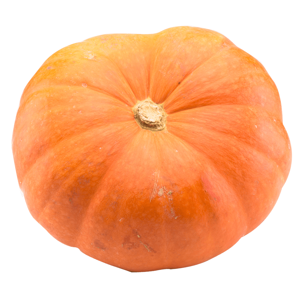 Abobora Moranga é Carboidrato - BRAINCP